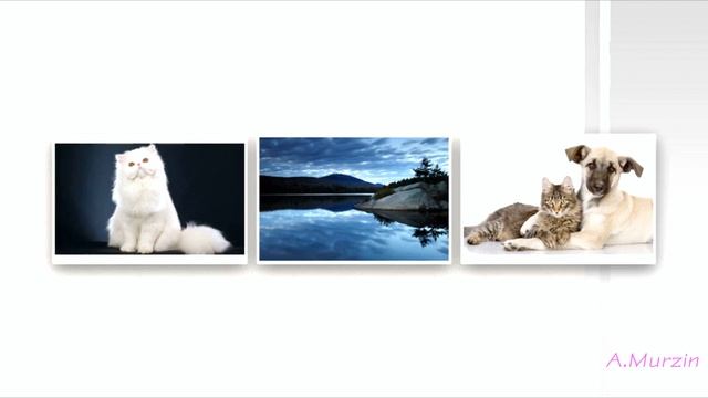 Salvatres - Прибой