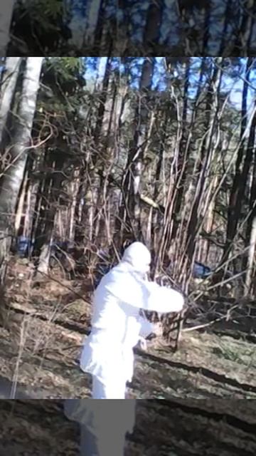 Angeles ninja - Wind in a tall grass (03.04.2019.) Ангельский ниндзя - Ветер в высокой траве #Angels