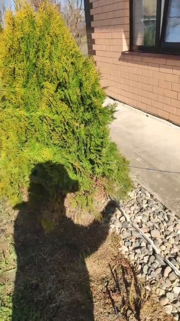 Подготовка участка к новому сезону.