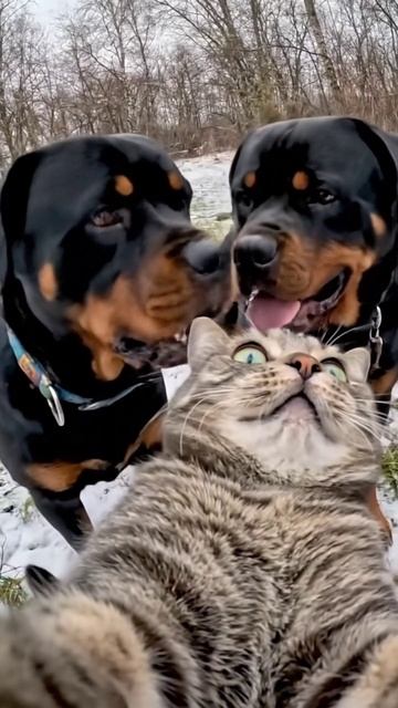 Неловкая ситуация