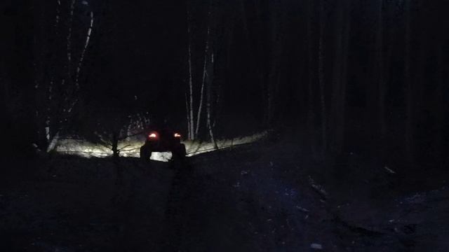 Сафари Багги 1.1