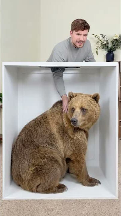 Угадай Животное