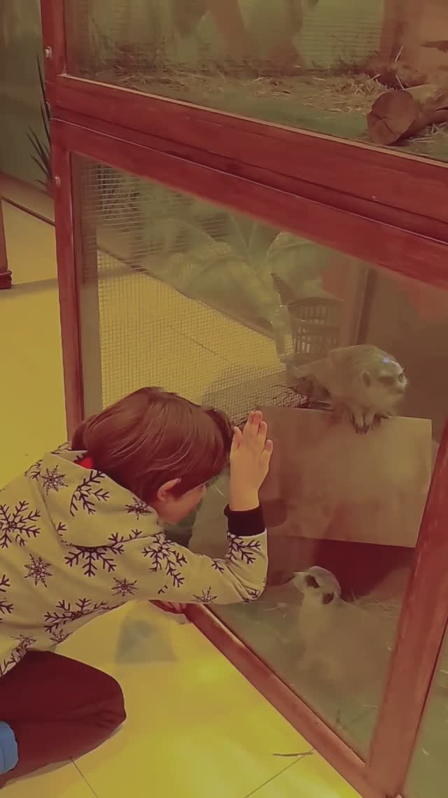 Зооландия, выставка экзотических животных 22-29.01.2026