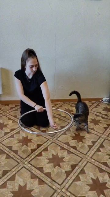 Участник №13. Плотникова Милана - "Из дикого в домашнего"