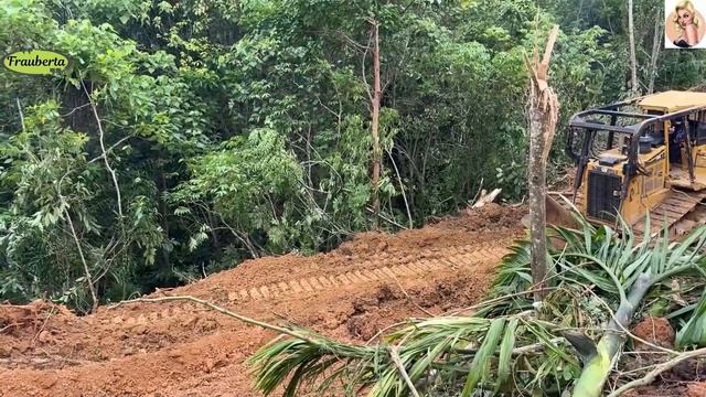 Строительство, расчистка горной дороги