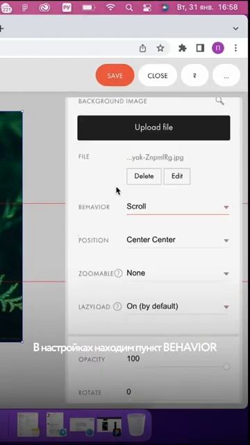 Как сделать эффект смены фонового изображения в Тильде дизайн тильда design разработкасайта [get.gt]