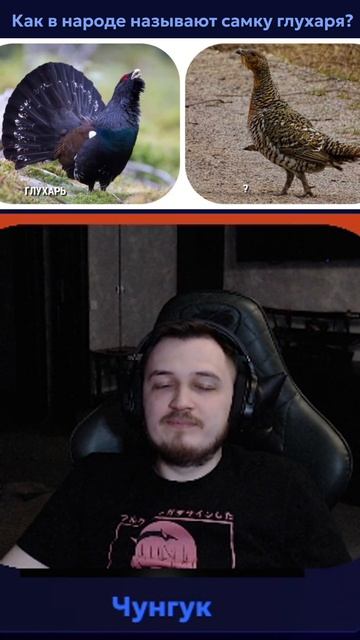 Как зовут самку глухаря?