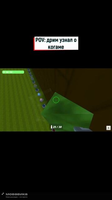 POV: дрим узнал о когаме