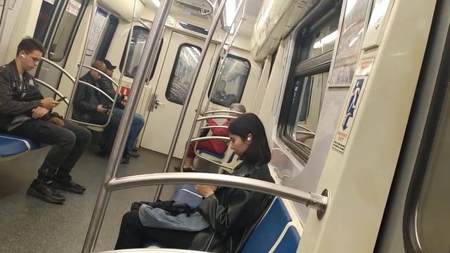 Мгновение жизни в вагоне метро, Ленинград (СПб) от ст. Приморская до ст. Зенит