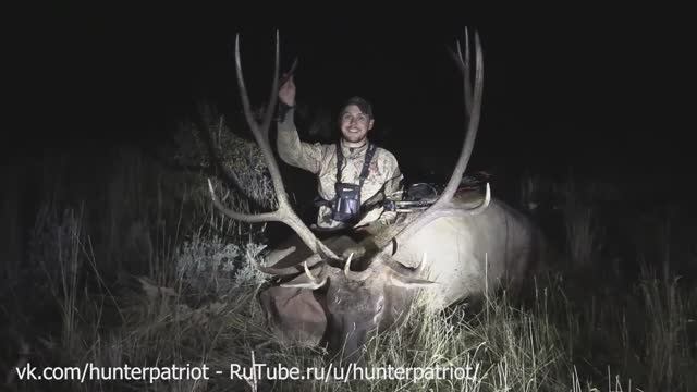 🌐🏹 Охота с луком: зрелищные поединки с быками и горными козлами! Реальные трофеи охотника 🐂🧐