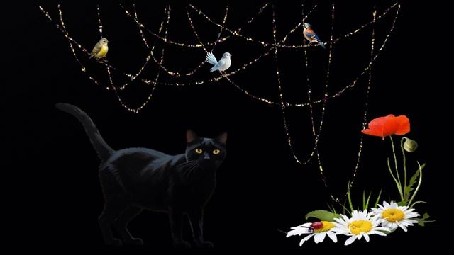 Прогуляемся по парку. Пение и щебет птиц в парке