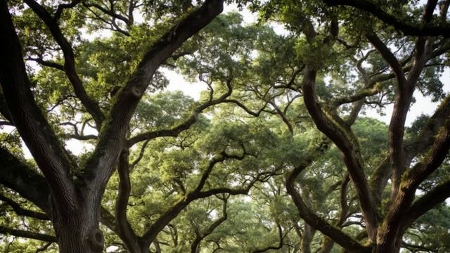 Музыка для отдыха и релаксации