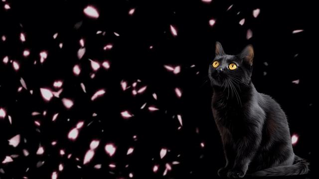 Свежий ветер