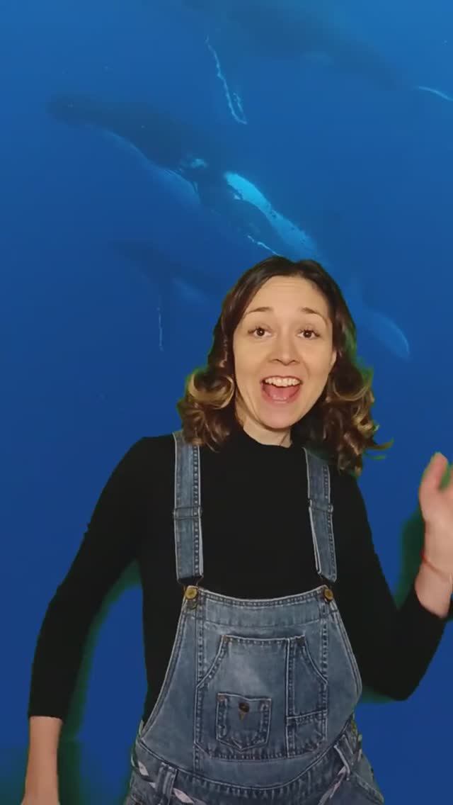 Горбатые киты на Тонга — это моя личная магия океана, к которой я мысленно возвращаюсь каждый день🐋