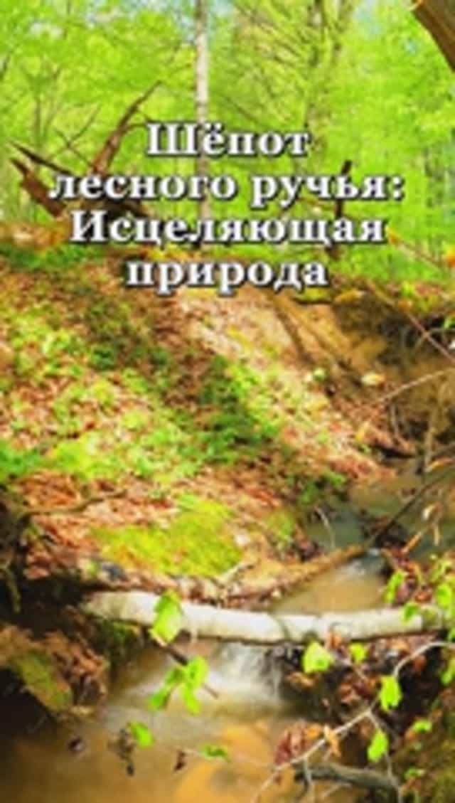Шепот лесного ручья: Исцеляющая природа ✨🌿✨