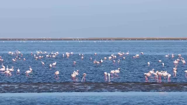 МУЗЫКА ДЛЯ ГЛУБОКОГО РАССЛАБЛЕНИЯ