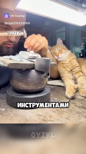 Лучший друг человека