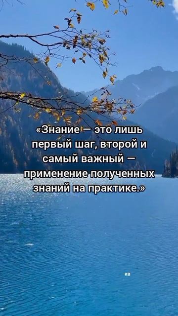 #мысли #цитаты #katyboro #афоризмы #топ #рек #рекомендации #врекомендации #умныемысли