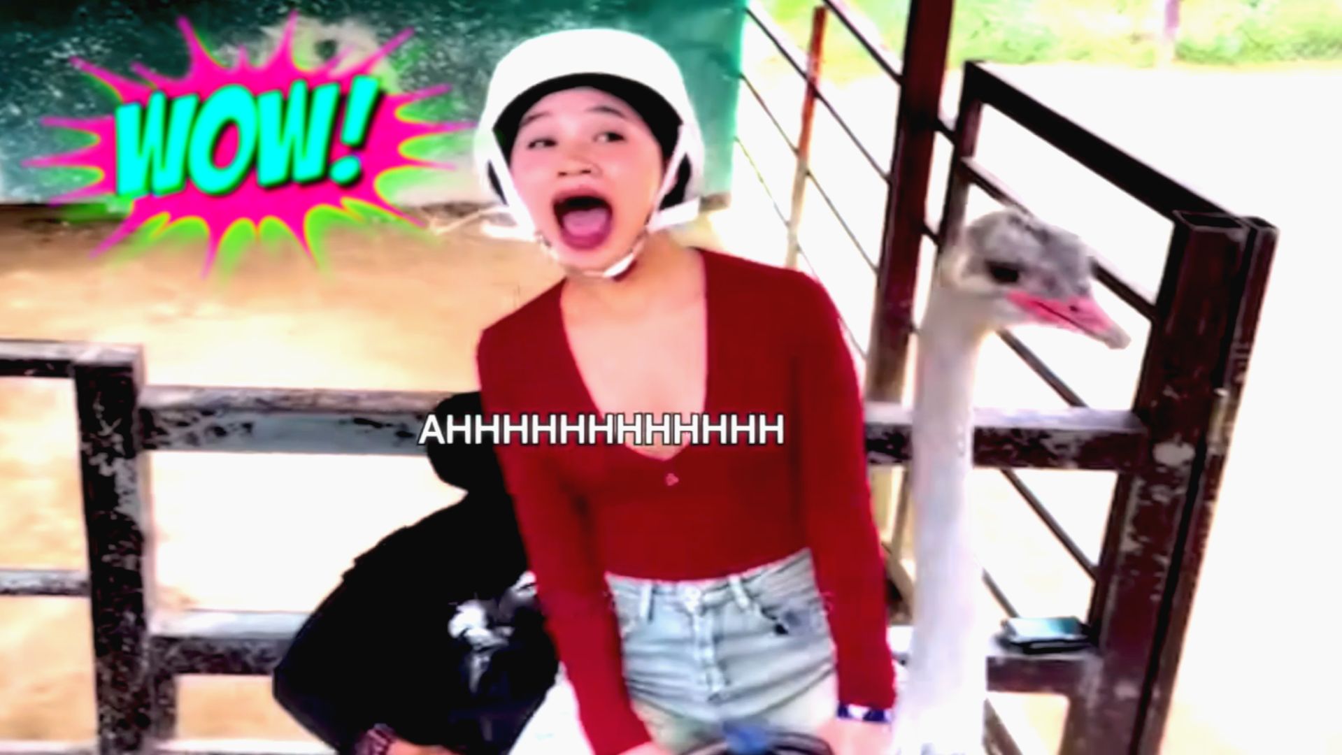 "СМЕШНЫЕ ВИДЕО: ПРИКОЛЫ, КОТОРЫЕ СДЕЛАЮТ ВАШ ДЕНЬ"