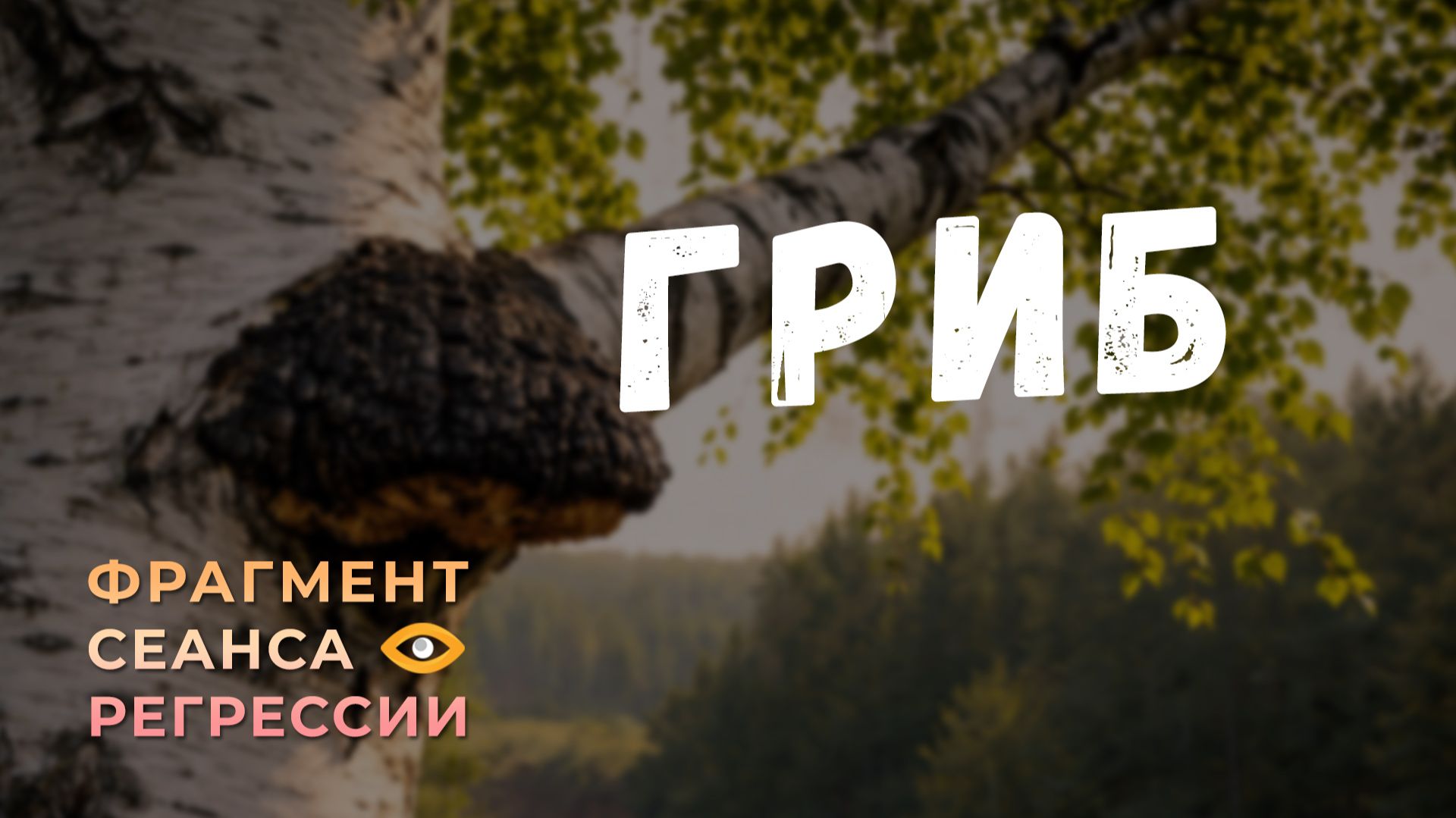 Регрессии. Открытия. Возможности. Результаты. "Гриб"