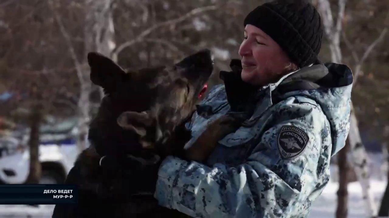 О работе кинологического центра МВД по Республике хакасия - в программе "Дело ведет МУР-Р-Р"