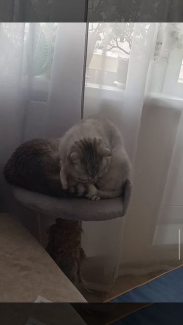 Участник №2. Литвинова Арина - "Хорошо, что я есть у тебя"