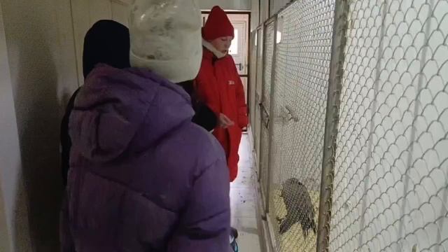 парк «Малинки»