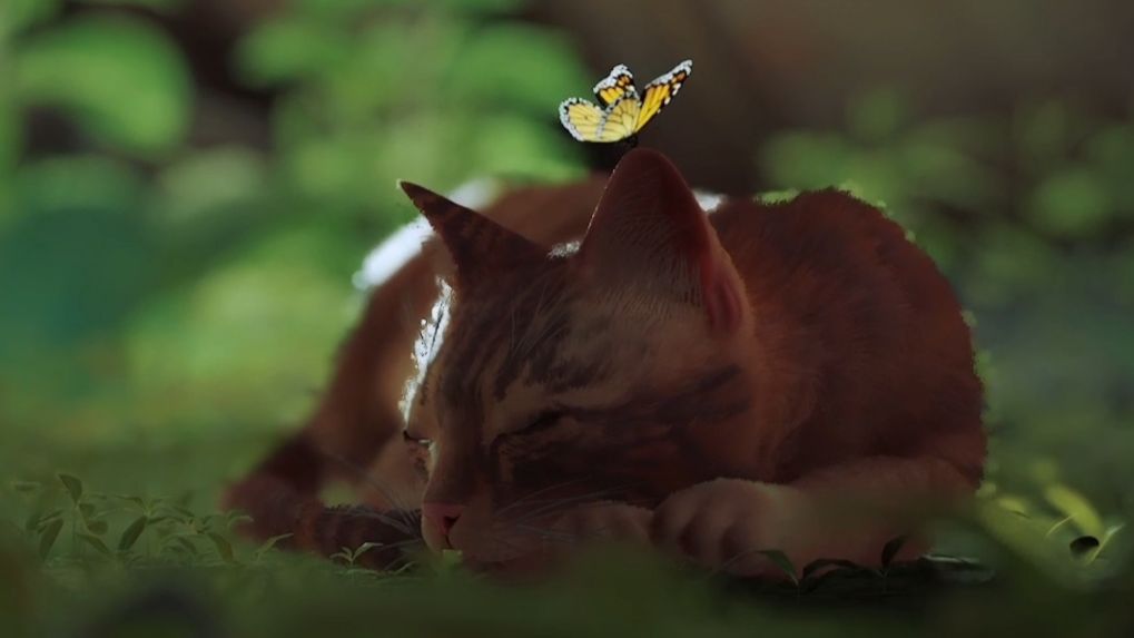 Играем за кота & Stray Прохождение #1