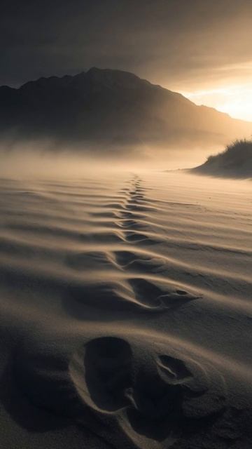 TABRIS — Старец на горе