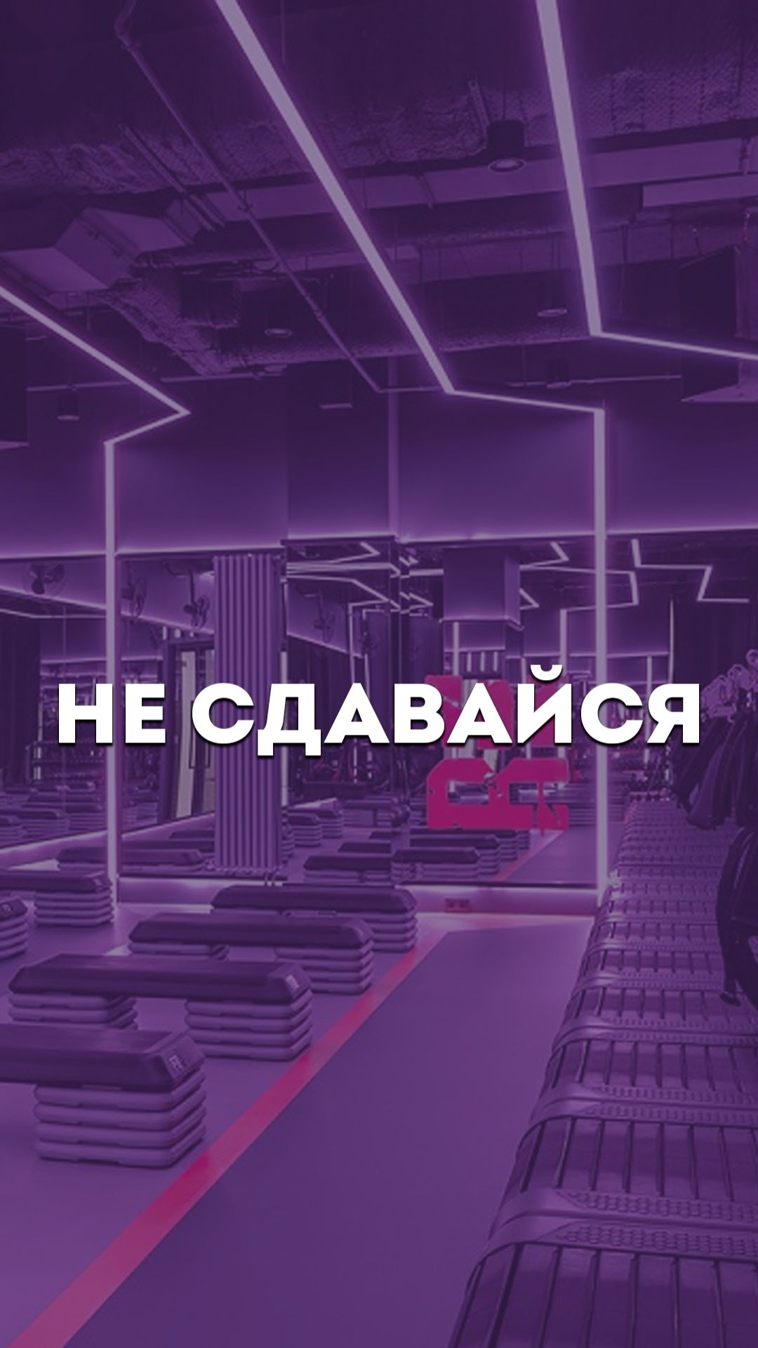 Не сдавайся