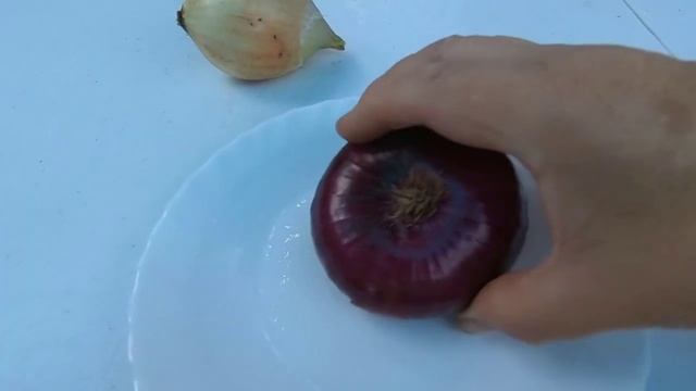 Ялтинский лук, который не щиплет глаза. Выращивание его в средней полосе из чернушки.