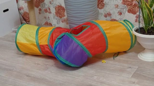 Участник №7. Юдина Любовь - "Быть котом, не так уж плохо"