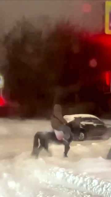 Когда пробки конный транспорт тоже помогает