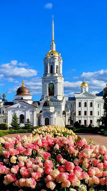 Душевный лекарь#Церковь#shortvideo#shorts#Молитва#Православие