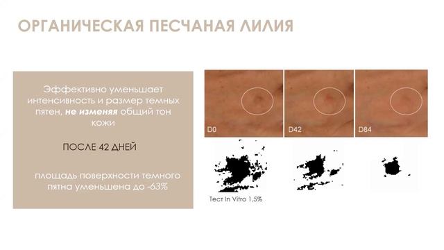 ГАРМОНИЯ КРАСОТЫ В ДЕТАЛЯХ: руководство по созданию эффективных уходовых дуэтов