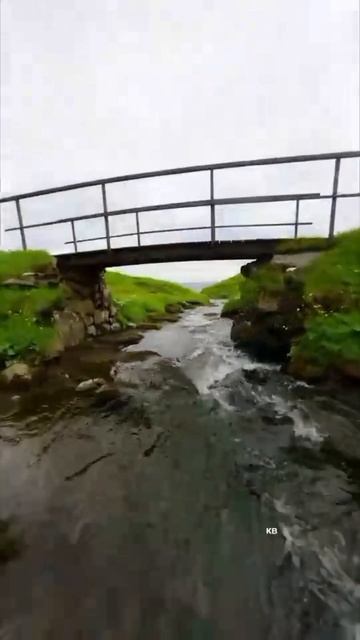 #видео #katyboro #рекомендации #врек #топ #реки