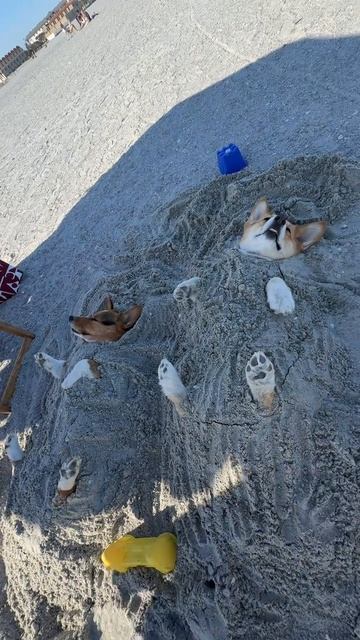 Замуровали демоны