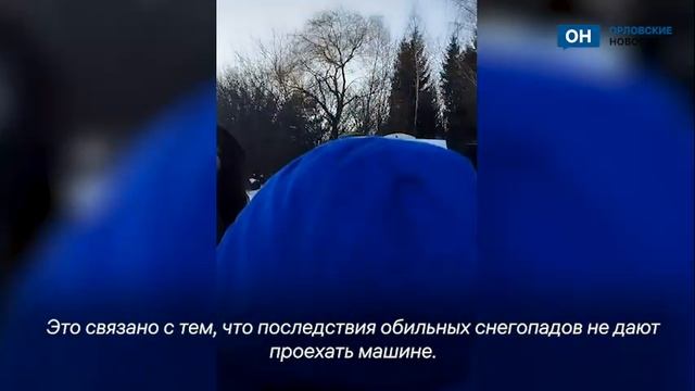 Орловские медики добираются до пациентов на повозке с лошадью