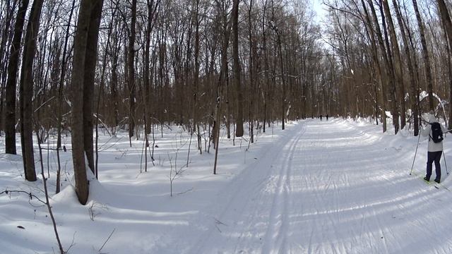 Лыжный сбор 23.02.2026 | Тургруппа "ПЕТРЕН&Ко"