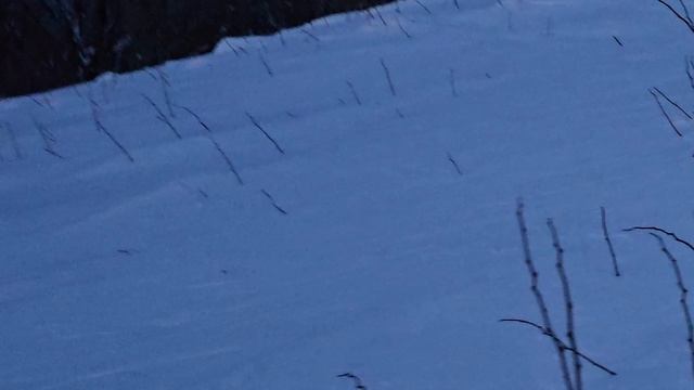 Дудергофские высоты. Воронья г. 02.26
