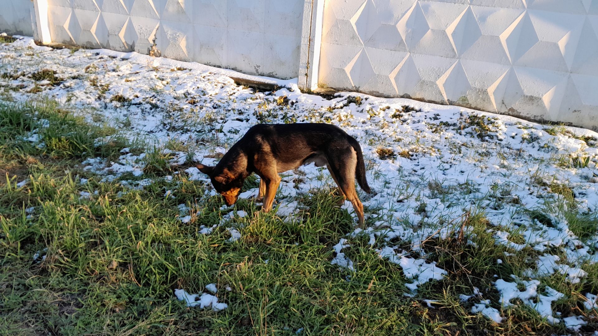 Скоро весна Джеку не до сна