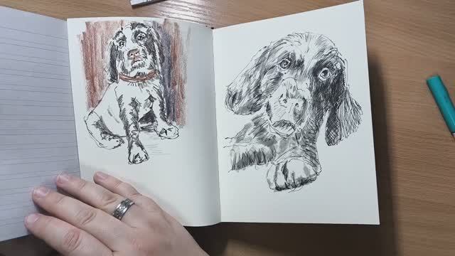 Скетчбук разных сухих зарисовок