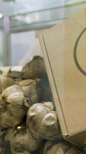 Почему чеснок чёрный?