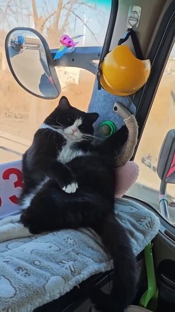 Главное держаться, даже если состояние оставляет желать лучшего