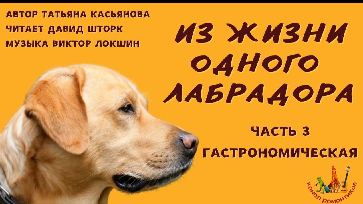 Гастрономическая часть истории лабрадора