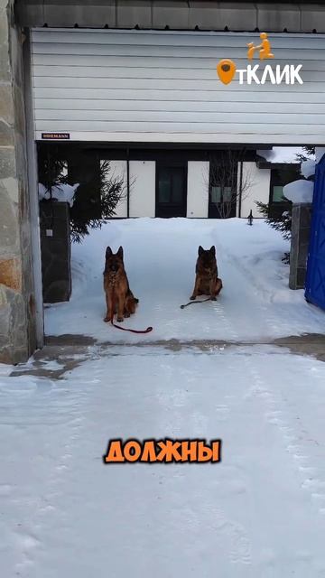 Простые, полезные навыки.