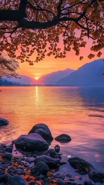 #katyboro #видео #видеооткрытка #топ #врек #реки #viral #рекомендации #2026 #врекомендации #video