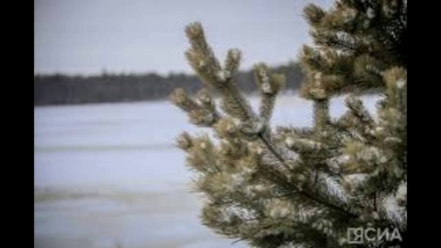 25 февраля - Алексей Рыбный. Приметы и традиции