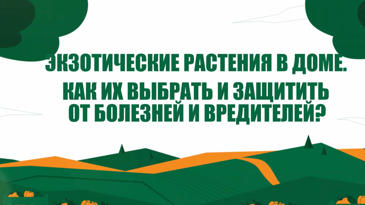 Экзотические растения дома: как выбрать и защитить от вредителей?