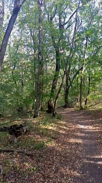 Железноводск, приключения продолжаются